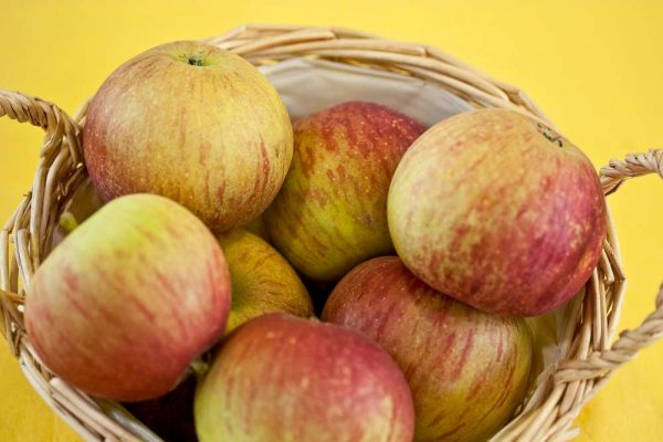 Fiesta - Suffolk Fruit and Trees - The Fruit Tree Specialists